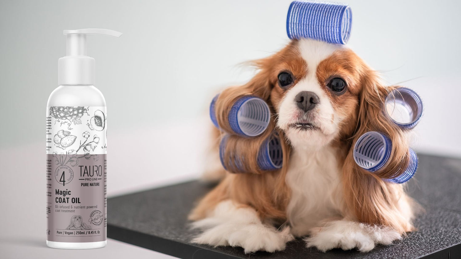 How to Restore a Damaged and Dull Coat: A Complete Guide – Kika USA ...